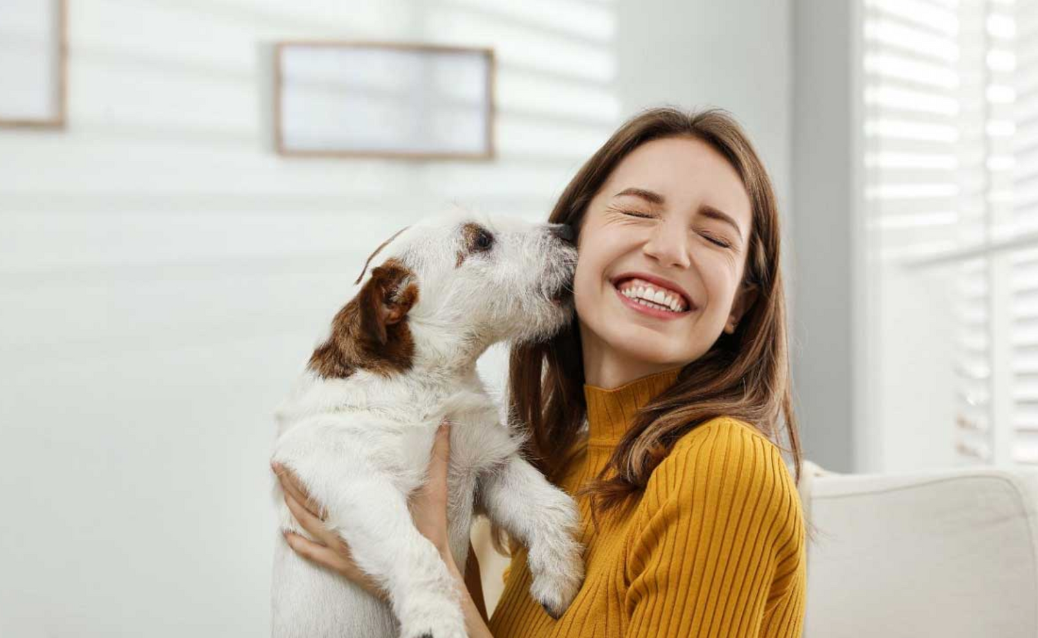Caresser un chien : Comment le bien faire ! – Aniportrait